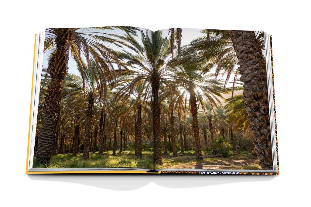 Assouline - Arabian Leopard (Classic) - Da Rocha